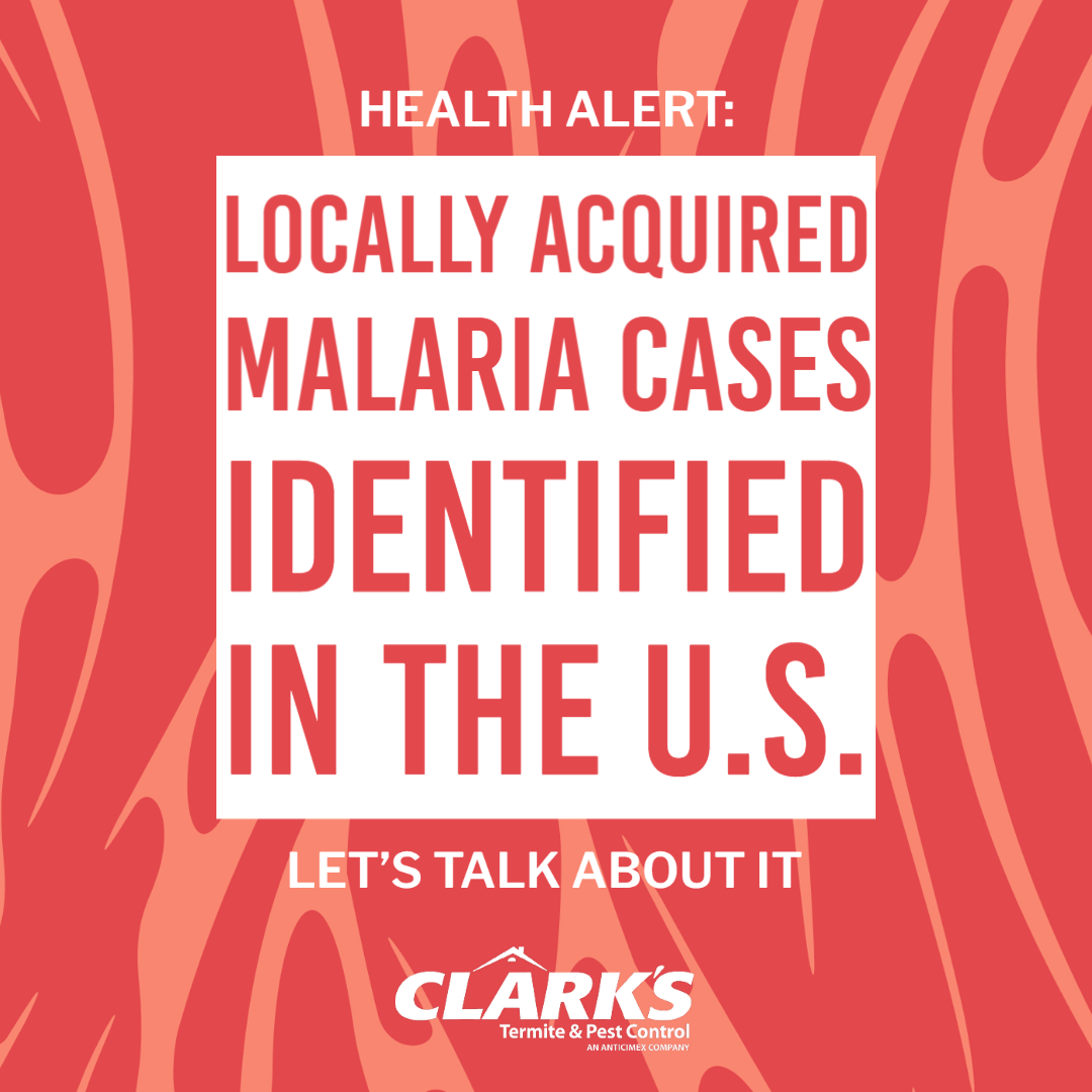 What You Should Know About the Malaria Health Alert - Clarks Pest