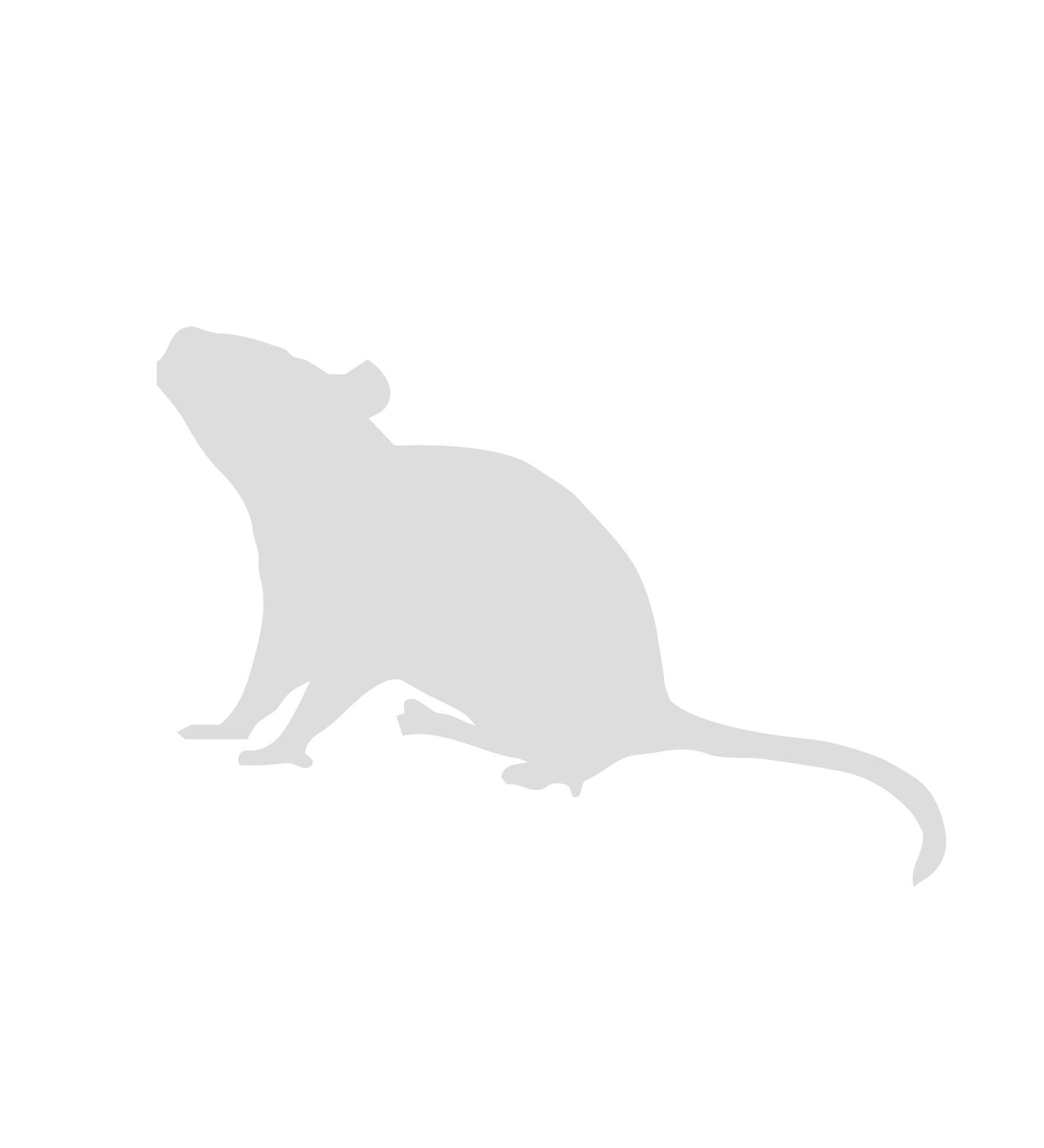 Clark's Termite & Pest Control | Serving South Carolina and North Carolina