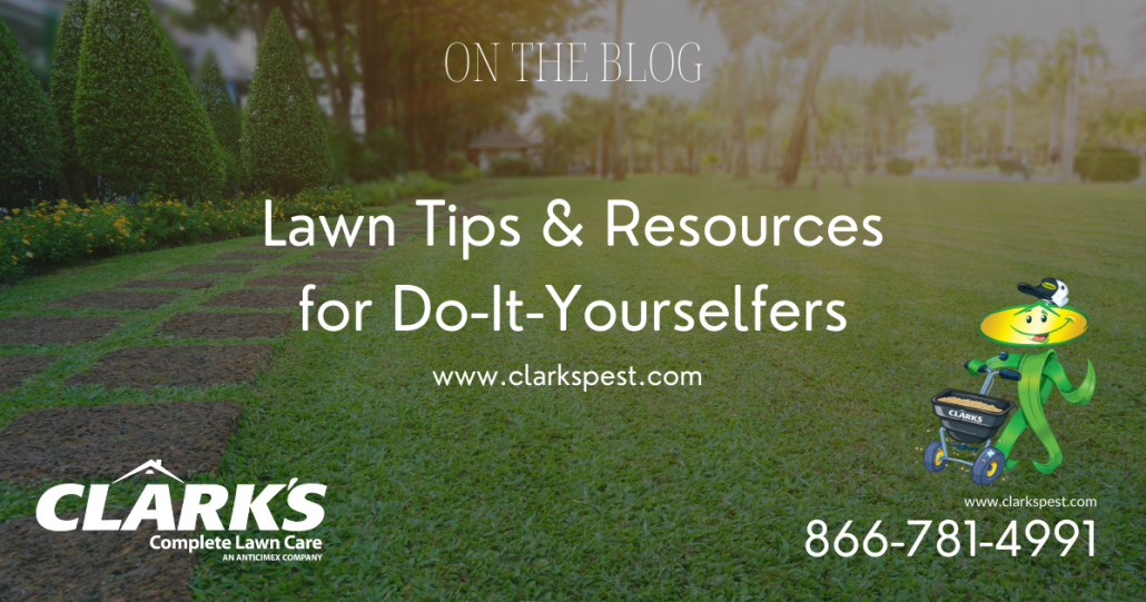 Blog | Clark's Termite & Pest Control | South Carolina