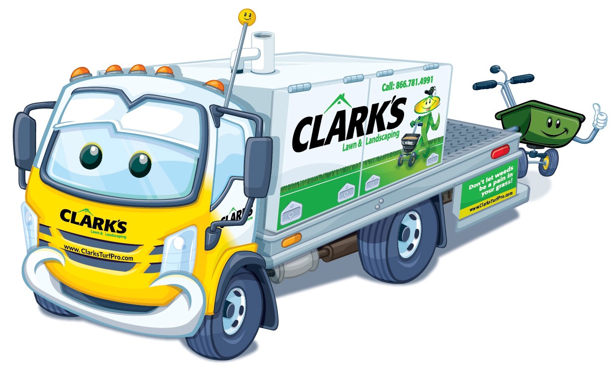 Reviews - Clarks Pest